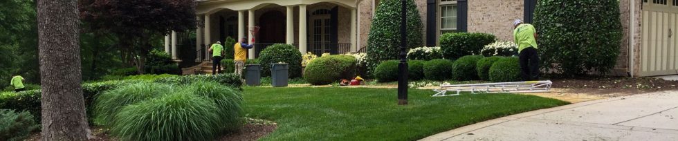Lawn Care & Landscaping Services » Raleigh NC » By ECM