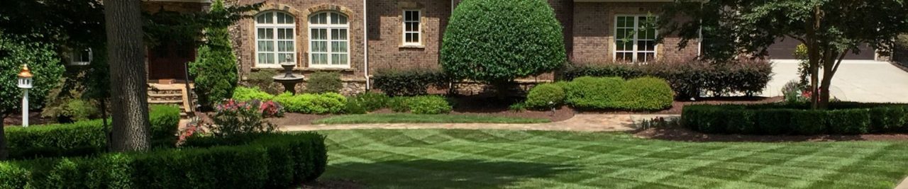 Lawn Mowing » & More Lawn & Landscaping Services » Raleigh NC